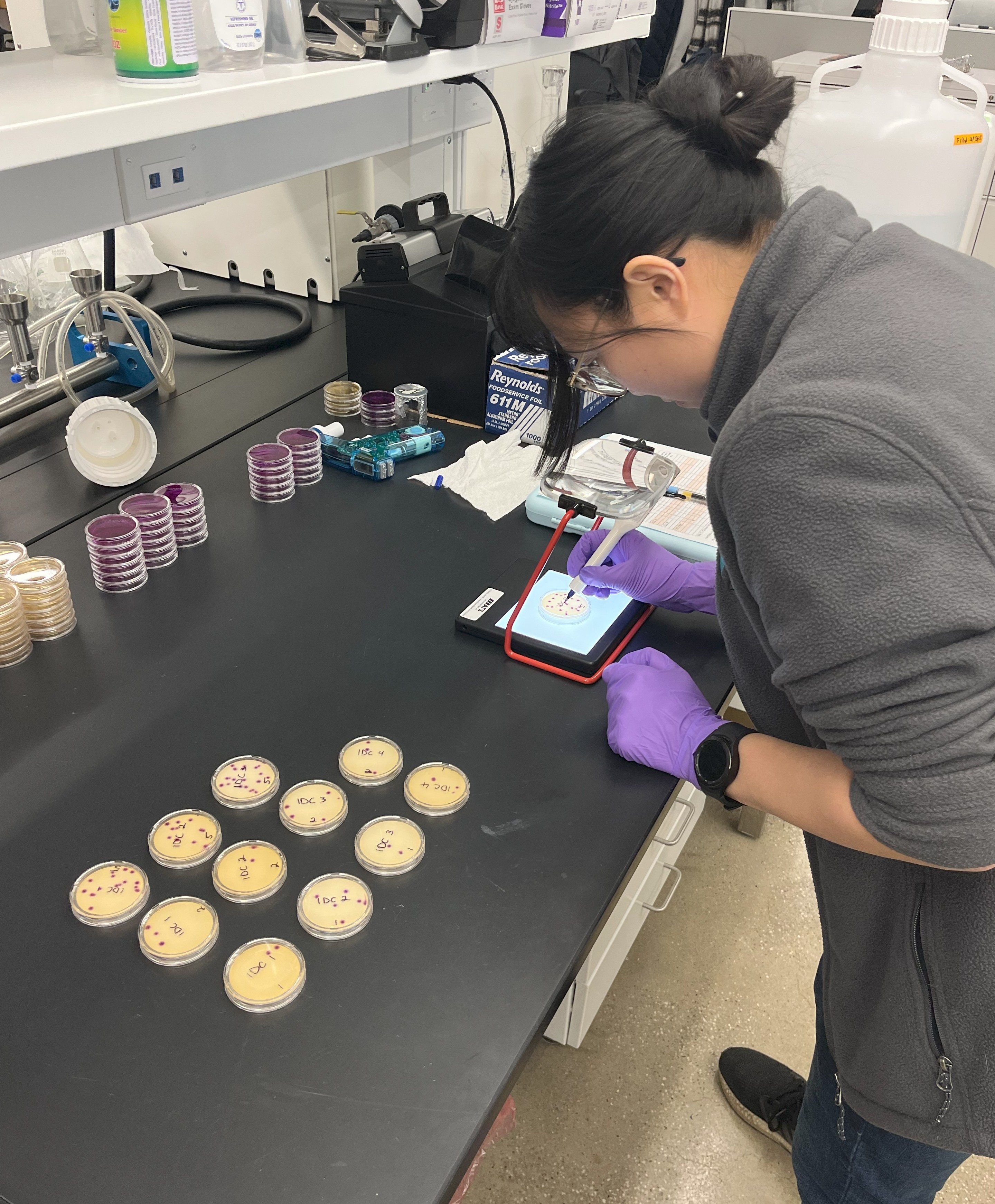 Staff | Interstate Environmental Commission